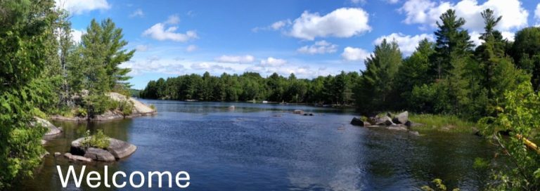 Timber Lake Foods